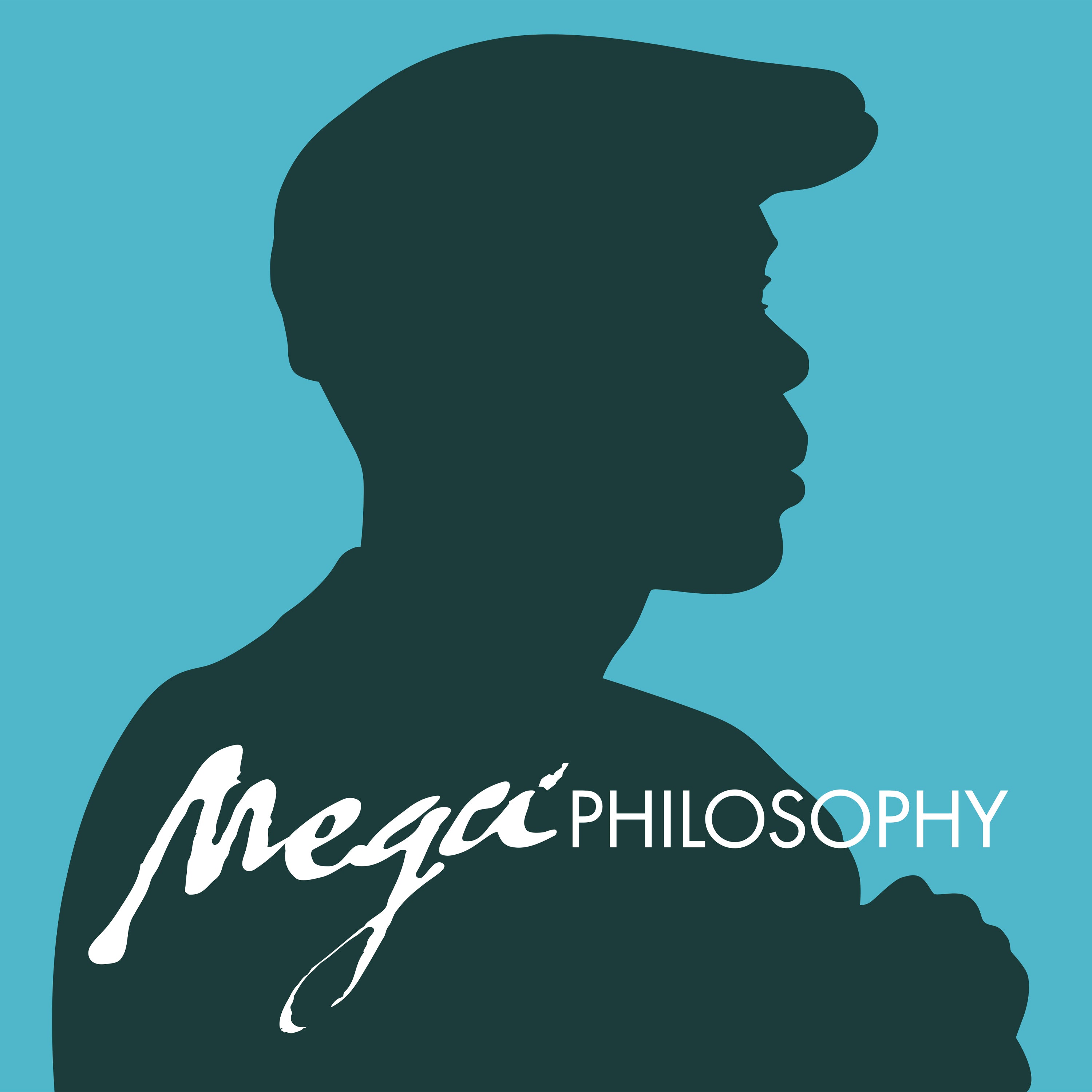 Mega Philosophy (LP) – RRC MUSIC CO.